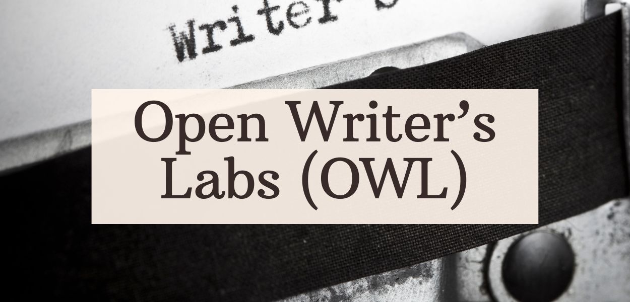 Open Writer's Labs - Gemini Ink